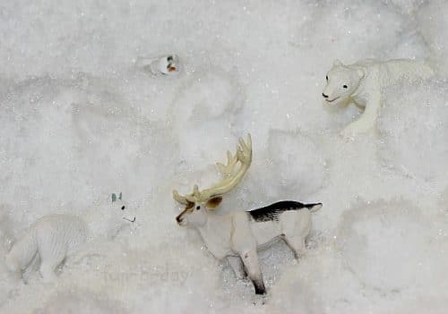 Arctic Small World and Sensory Play - Fun-A-Day!