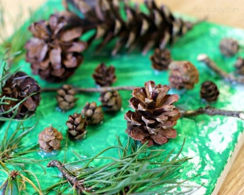 10 Evergreen Tree Activities for Preschoolers - Fun-A-Day!