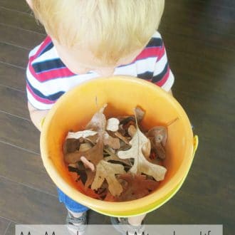 Here are 20 Preschool Leaf Activities Sure to Wow | Fun-A-Day!