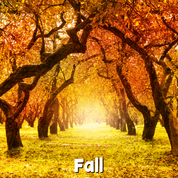 Seasonal and Holiday Ideas for Kids to Try Throughout the Year