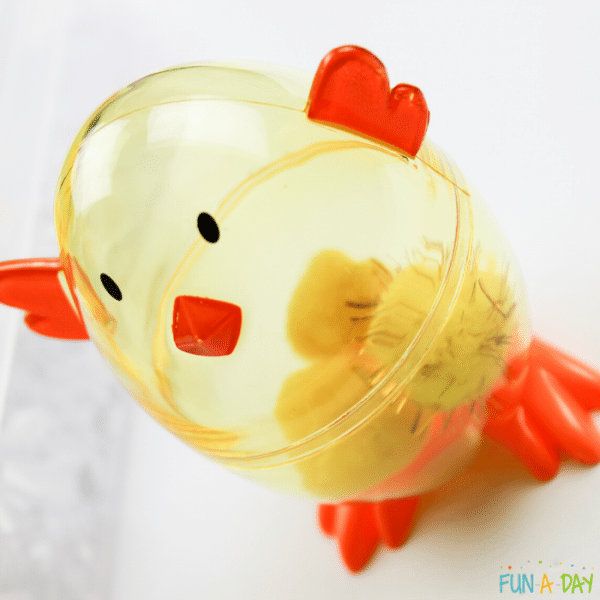 Chicken Sensory Bin Perfect for Easter or a Farm Theme - Fun-A-Day!