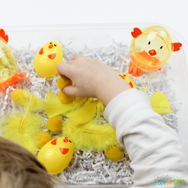 Chicken Sensory Bin Perfect for Easter or a Farm Theme - Fun-A-Day!