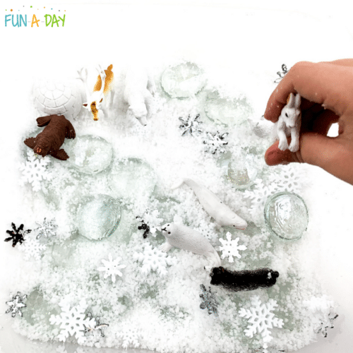 Arctic Sensory Bin for Preschool and Kindergarten - Fun-A-Day!