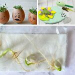 40+ Spring Science Activities for Preschoolers - Fun-A-Day!