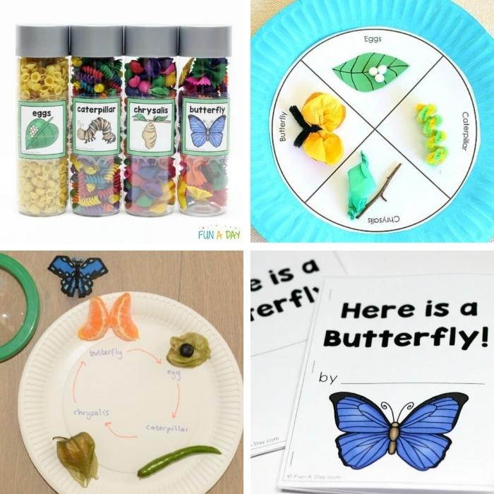 Butterfly Life Cycle Crafts