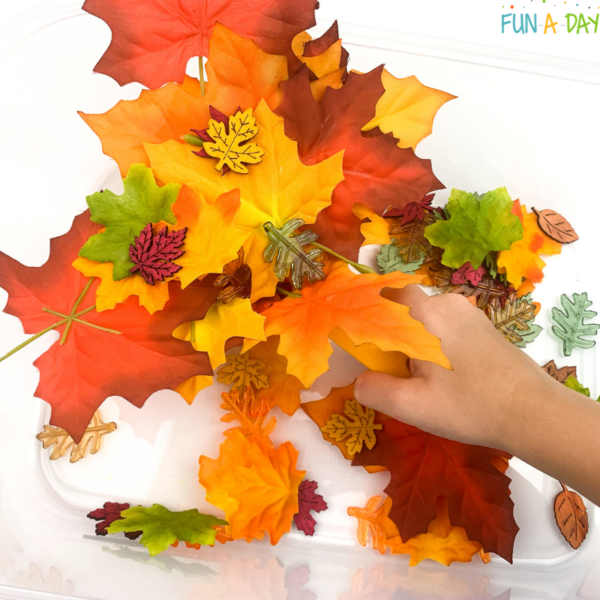 Super Easy Fall Leaf Sensory Bin - Fun-A-Day!