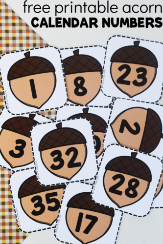 Acorn Calendar Numbers Free Printable - Fun-A-Day!
