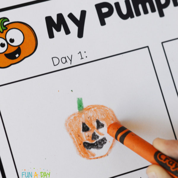 Decomposing Pumpkin Jack Experiment - Fun-A-Day!